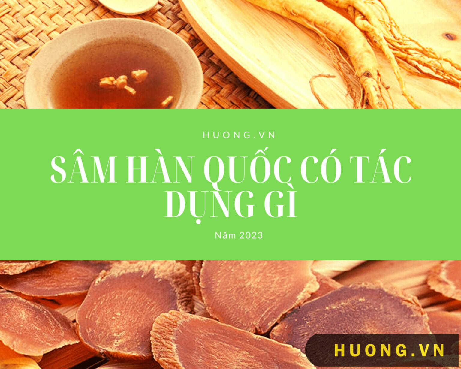Sâm Hàn Quốc có tác dụng gì? Một số lưu ý khi sử dụng sâm Hàn Quốc ...